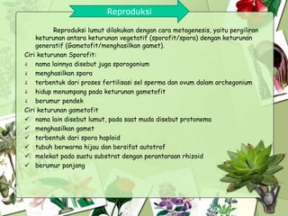 tumbuhan lumut | PPTX