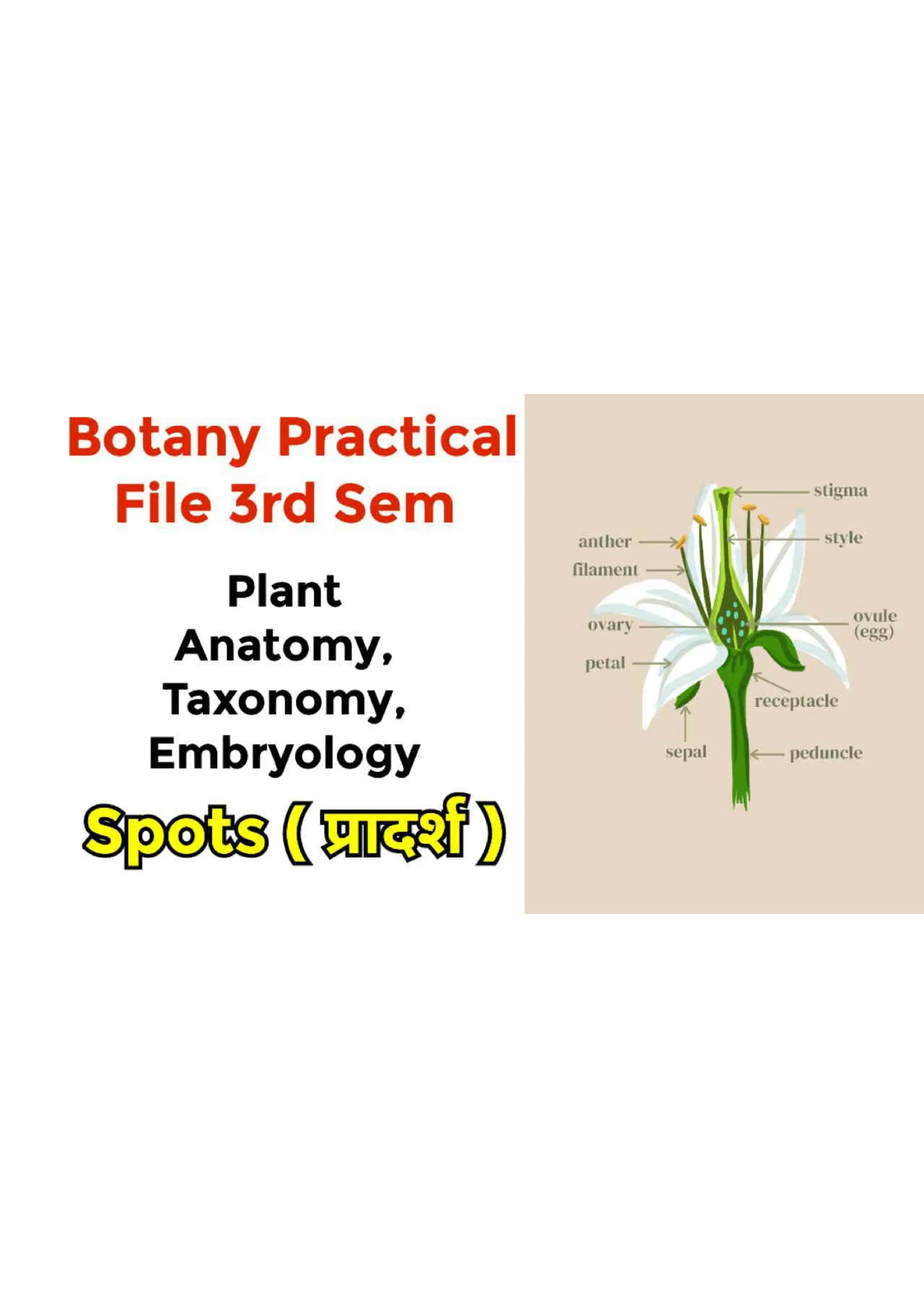 Plant Anatomy Taxonomy Embryology Botany NEP BSc BEd Notes PDF | PDF