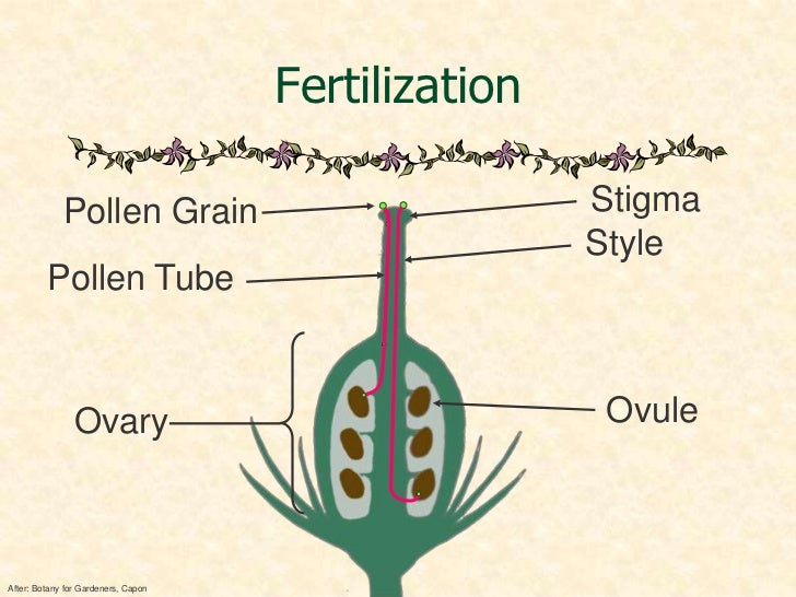 unit 15 terms to know on emaze