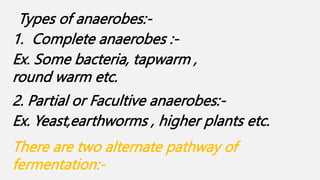 Anaerobic respiration | PPTX