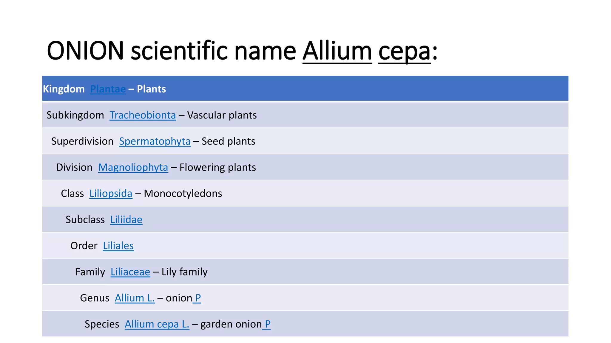 Classification of fruit and vegetables | PPTX