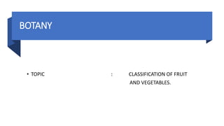 Classification of fruit and vegetables | PPTX