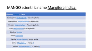 Classification of fruit and vegetables | PPTX