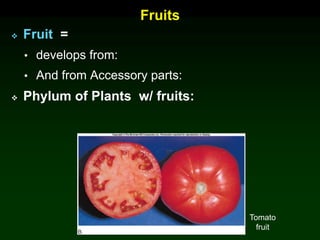 Botany Ch8 Flower Anatomy PPT (4).ppt