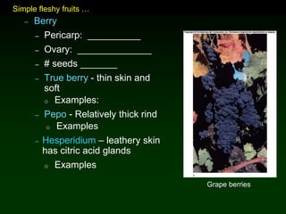 Botany Ch8 Flower Anatomy PPT (4).ppt