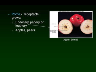 Botany Ch8 Flower Anatomy PPT (4).ppt