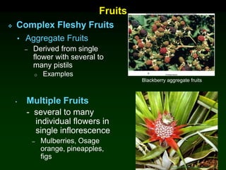 Botany Ch8 Flower Anatomy PPT (4).ppt