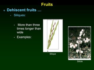 Botany Ch8 Flower Anatomy PPT (4).ppt