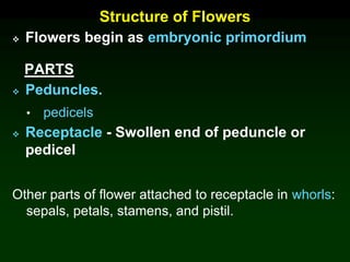 Botany Ch8 Flower Anatomy PPT (4).ppt