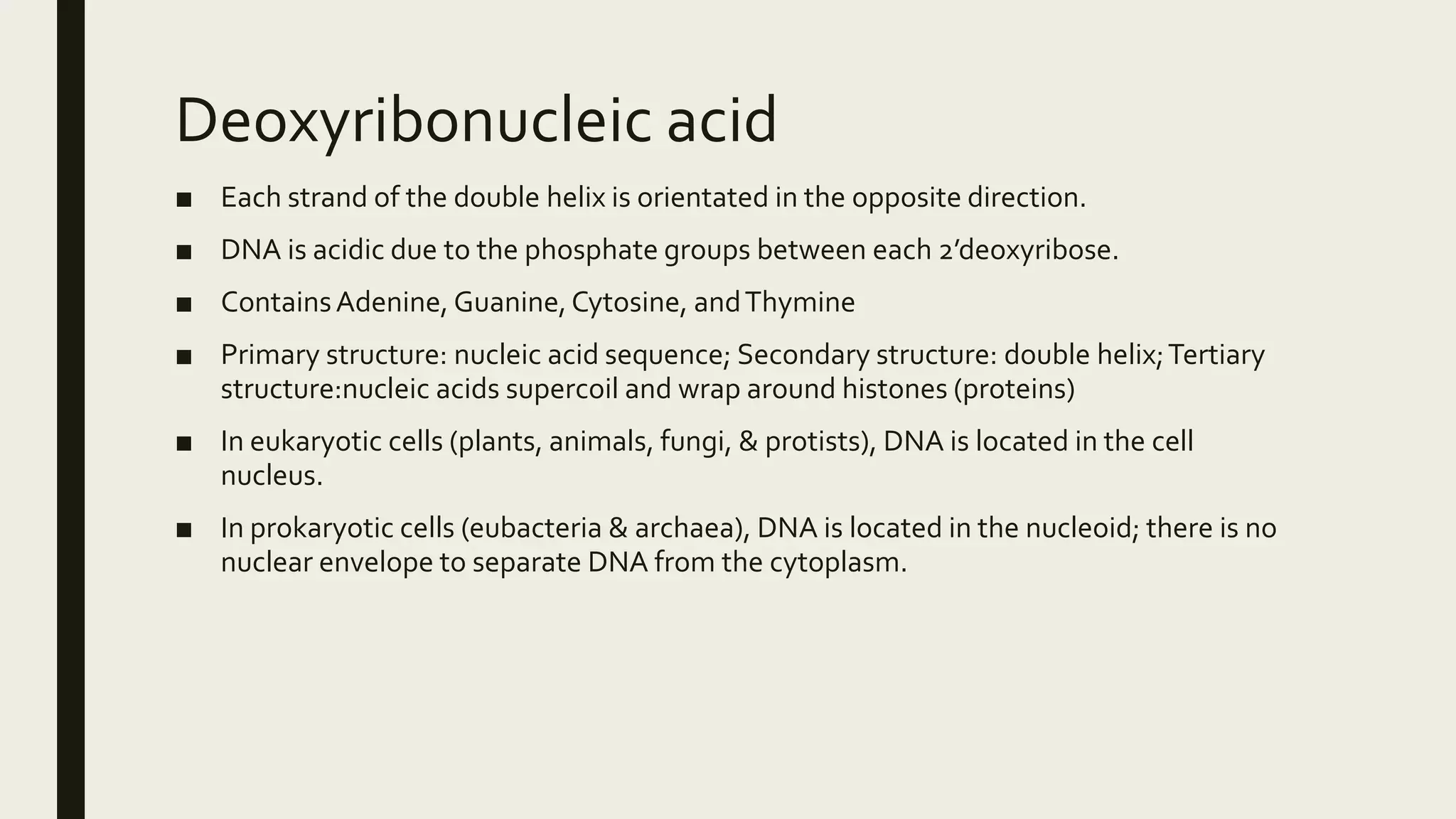 nucleic acids | PPTX
