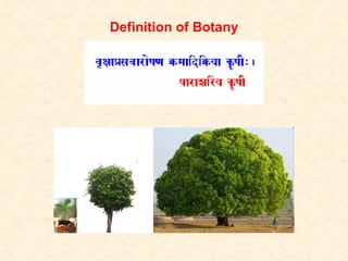 Botany for civil engineers nene | PPT
