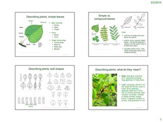 Botany for gardeners 2014-final notes | PDF