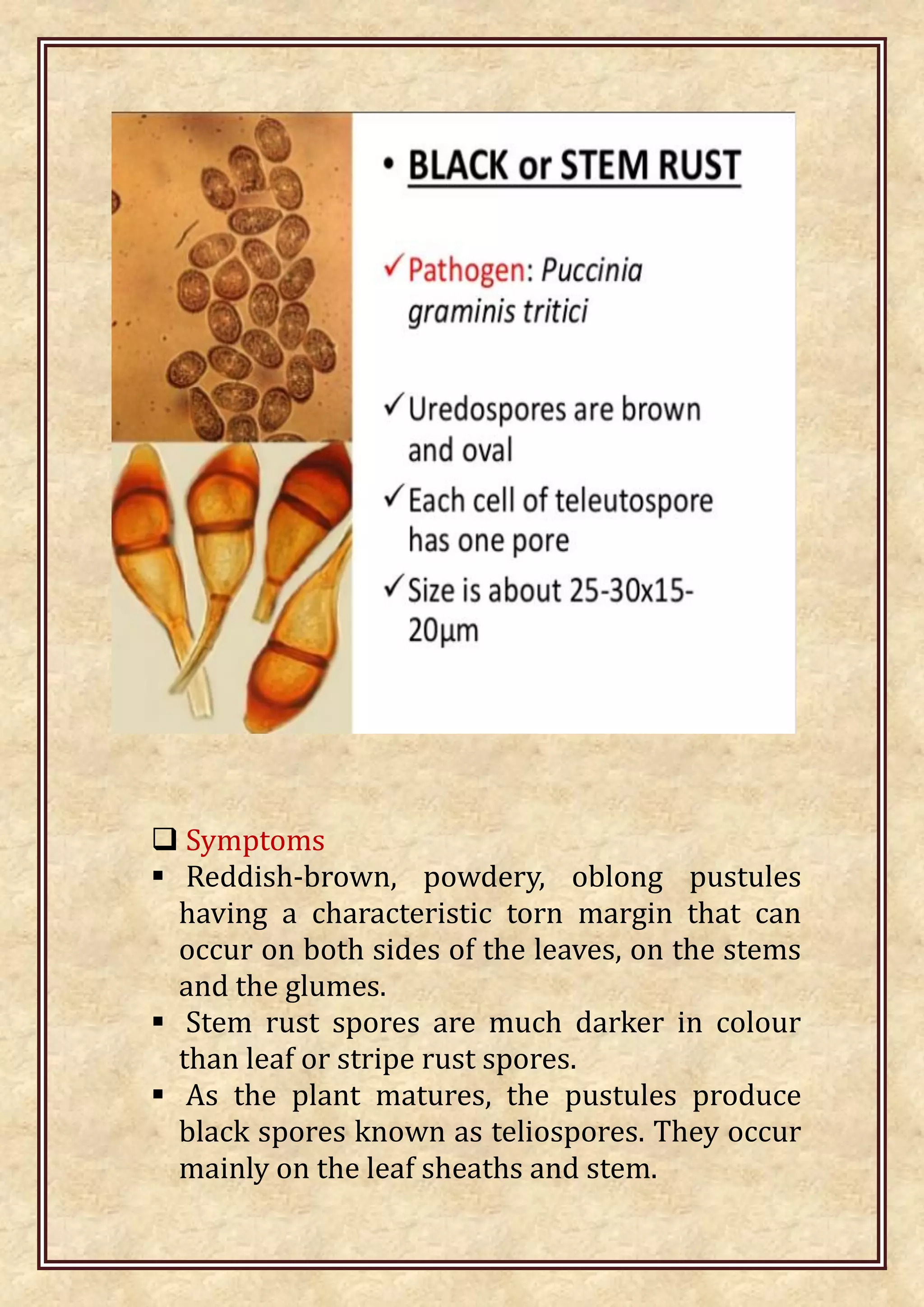 Casual organisms: symptoms, life cycles and control of plant diseases | PDF