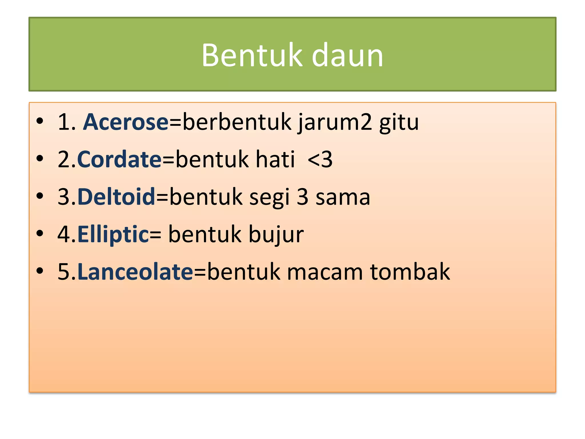 Botany Leaf Morphology Pptx