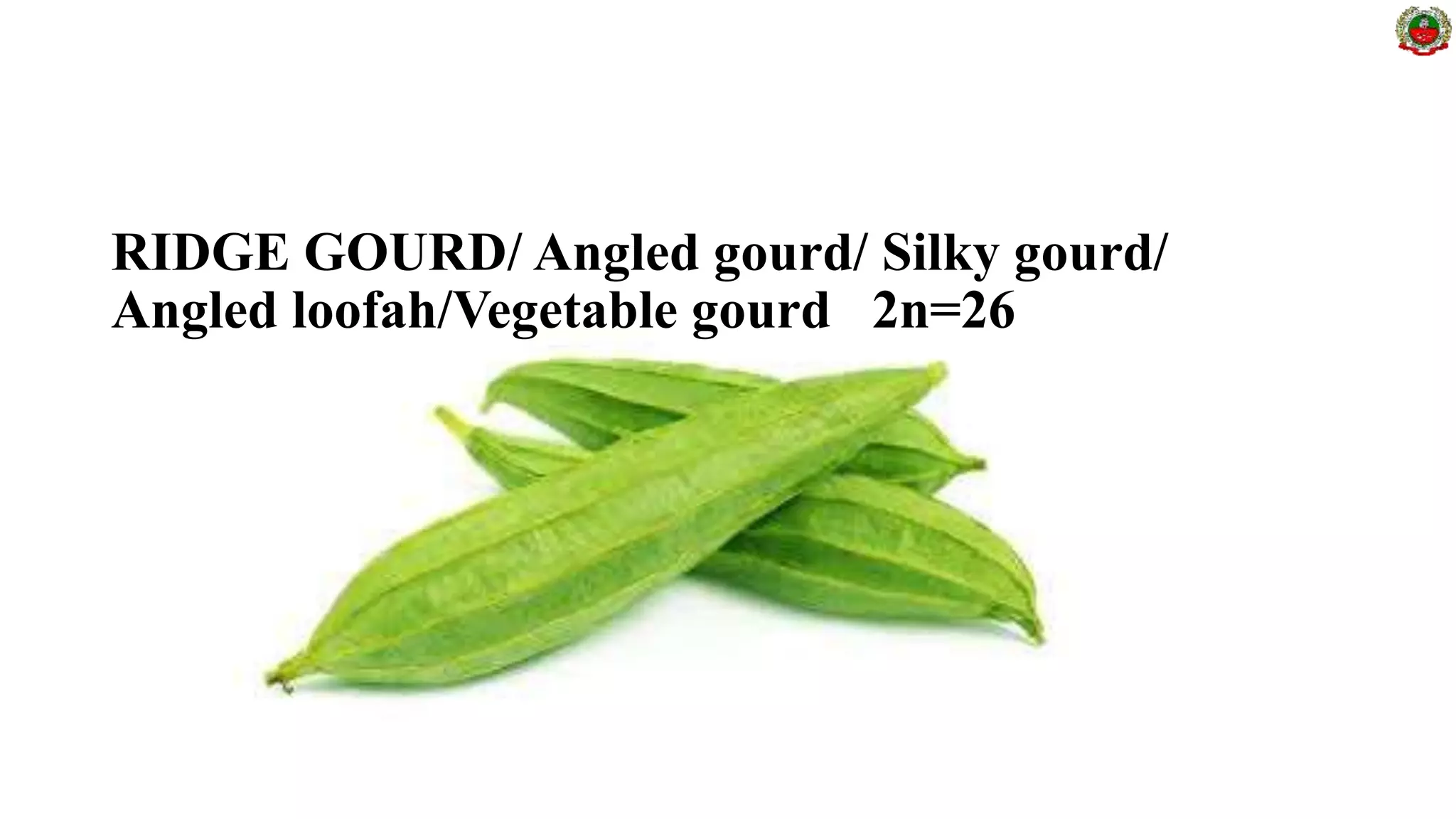 Botany of snake, bottle,ridge , ivy gourds | PPTX