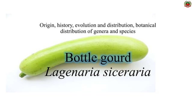 Botany of snake, bottle,ridge , ivy gourds | PPTX | Gardening | Home & Garden
