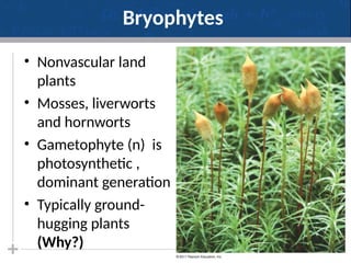 General Botany Part I - Plant Overview.ppt