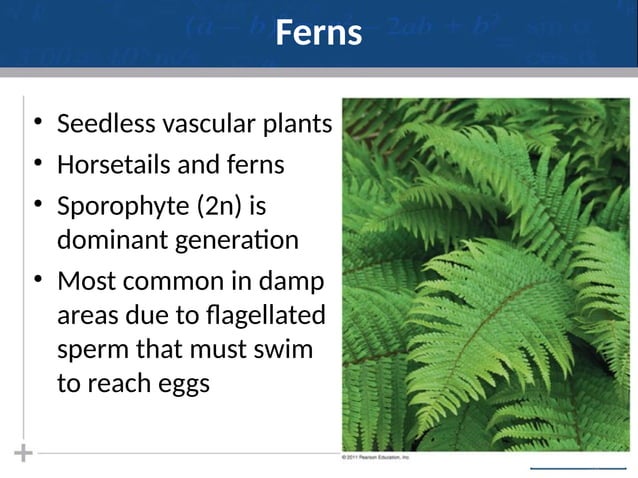 General Botany Part I - Plant Overview.ppt