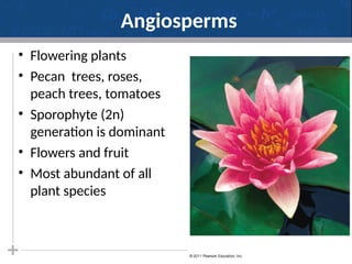 General Botany Part I - Plant Overview.ppt