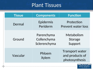 General Botany Part I - Plant Overview.ppt