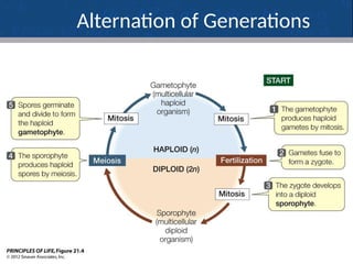 General Botany Part I - Plant Overview.ppt