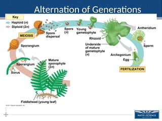 General Botany Part I - Plant Overview.ppt