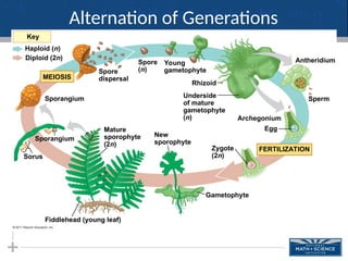 General Botany Part I - Plant Overview.ppt