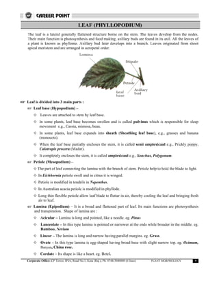 Botany plant morphology | PDF