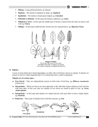Botany plant morphology | PDF