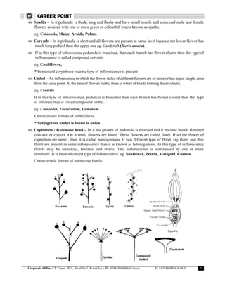 Botany plant morphology | PDF