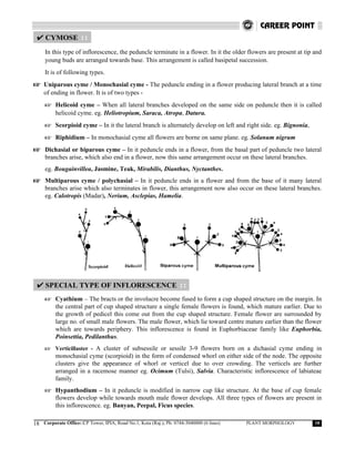 Botany plant morphology | PDF
