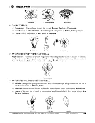 Botany plant morphology | PDF