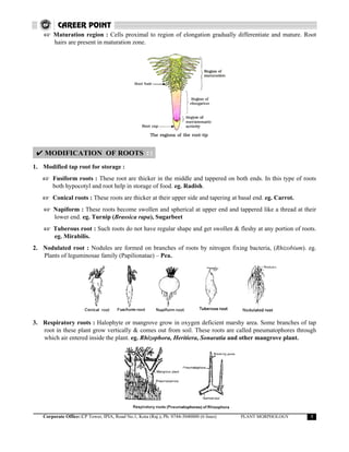 Botany plant morphology | PDF