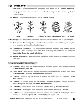 Leaf Modification Worksheet