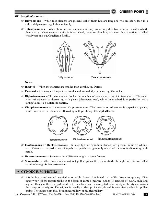 Botany plant morphology