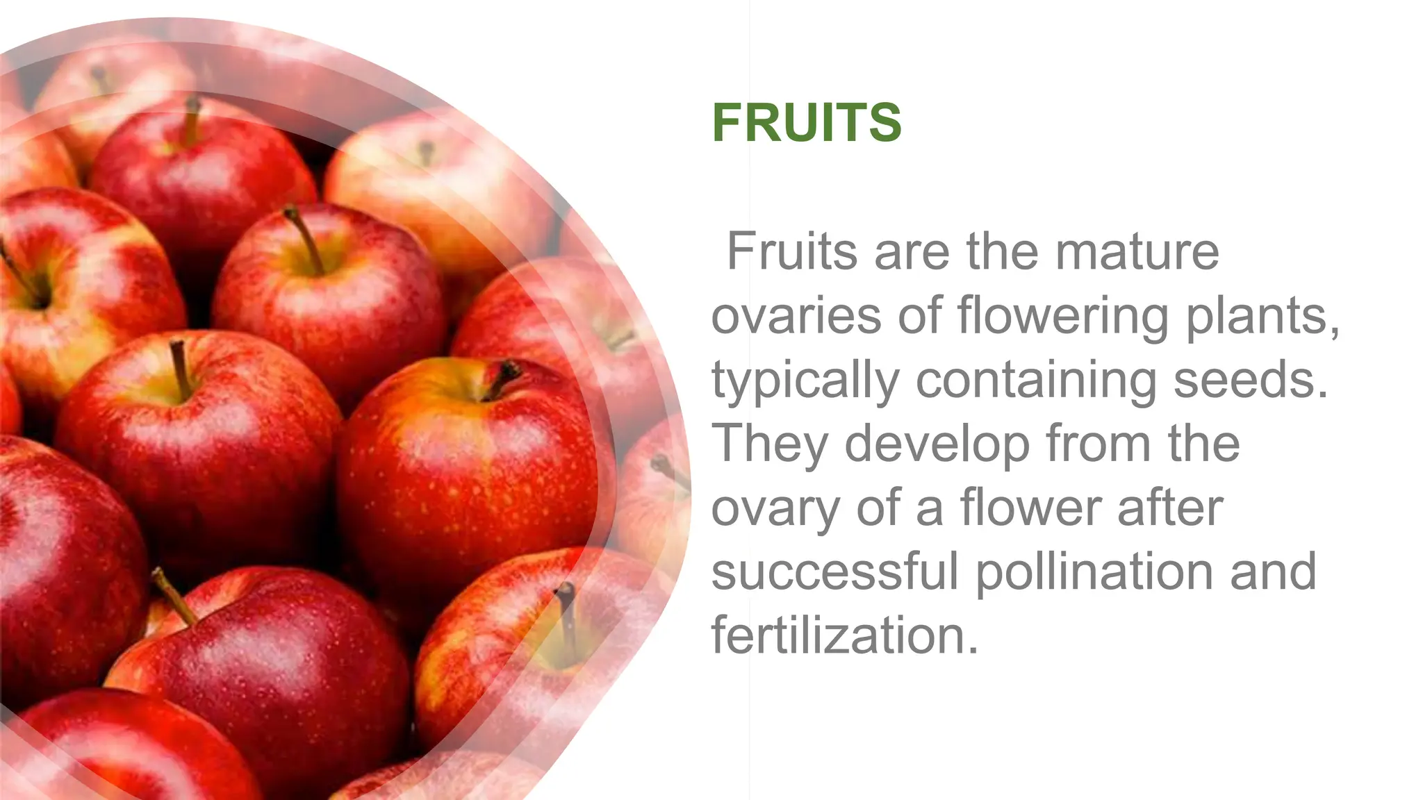 BOTANY POWERPOINT.pptxFLOWER, FRUIT, SEEDS | PPTX