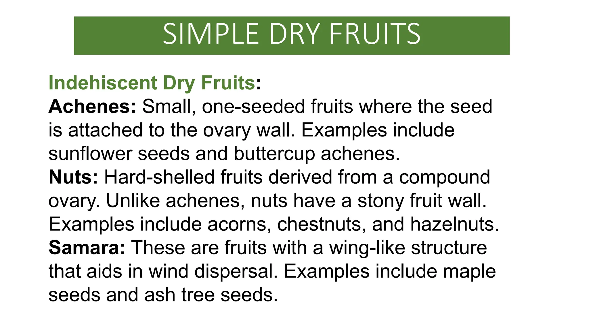 BOTANY POWERPOINT.pptxFLOWER, FRUIT, SEEDS | PPTX