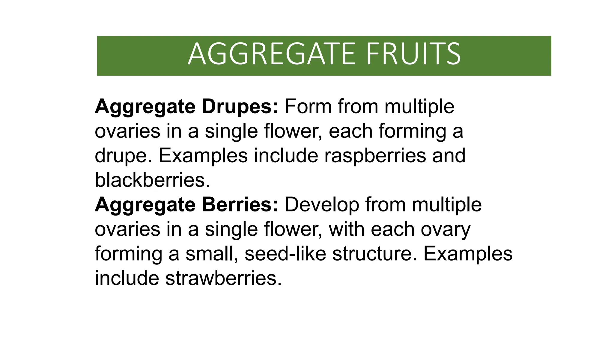 BOTANY POWERPOINT.pptxFLOWER, FRUIT, SEEDS | PPTX