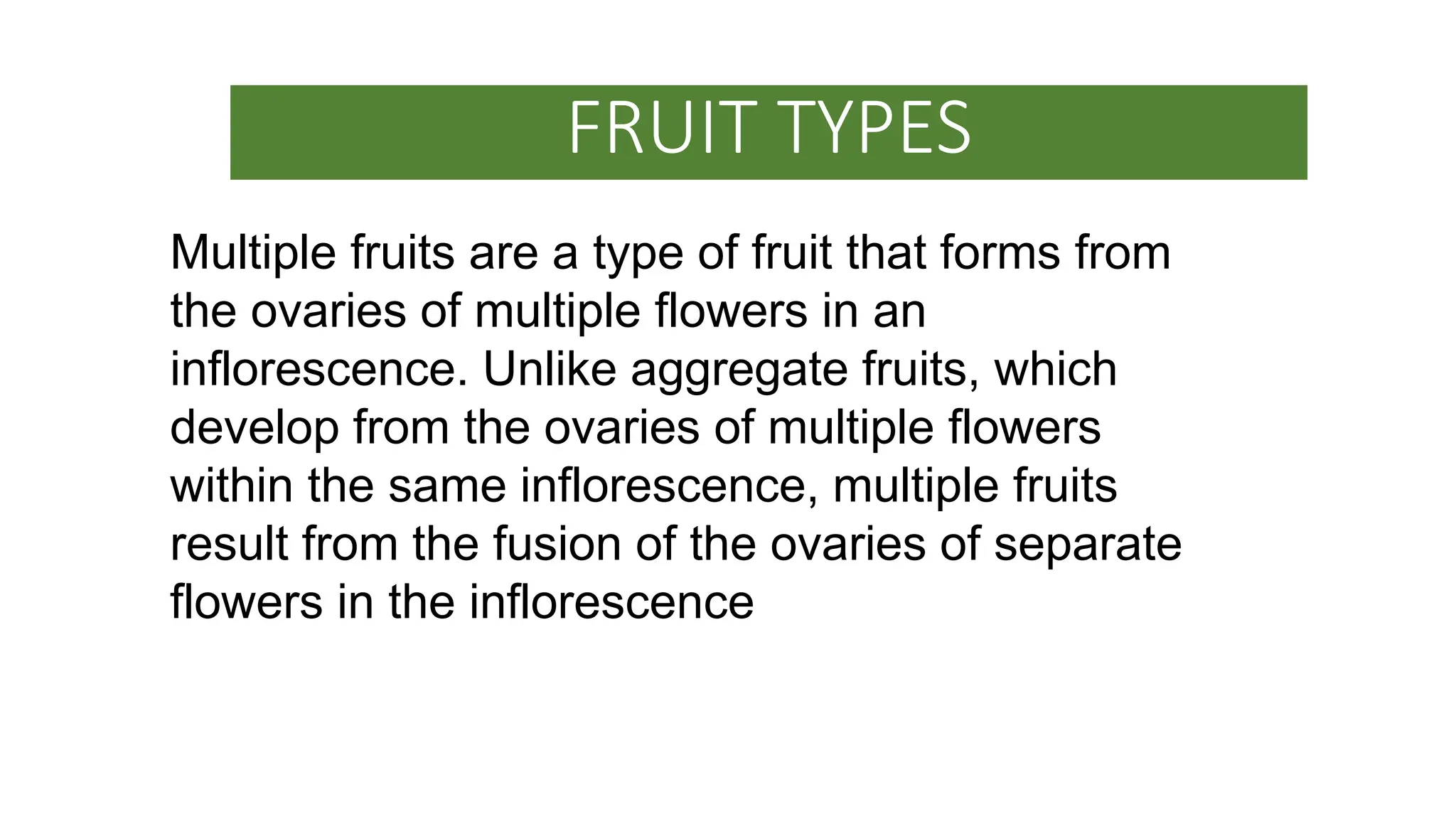 BOTANY POWERPOINT.pptxFLOWER, FRUIT, SEEDS | PPTX