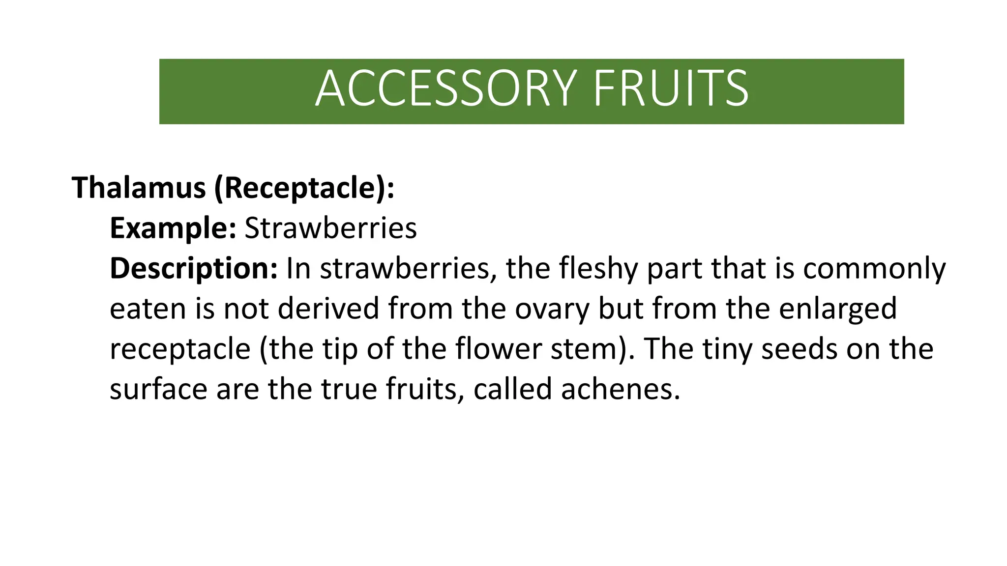 BOTANY POWERPOINT.pptxFLOWER, FRUIT, SEEDS | PPTX