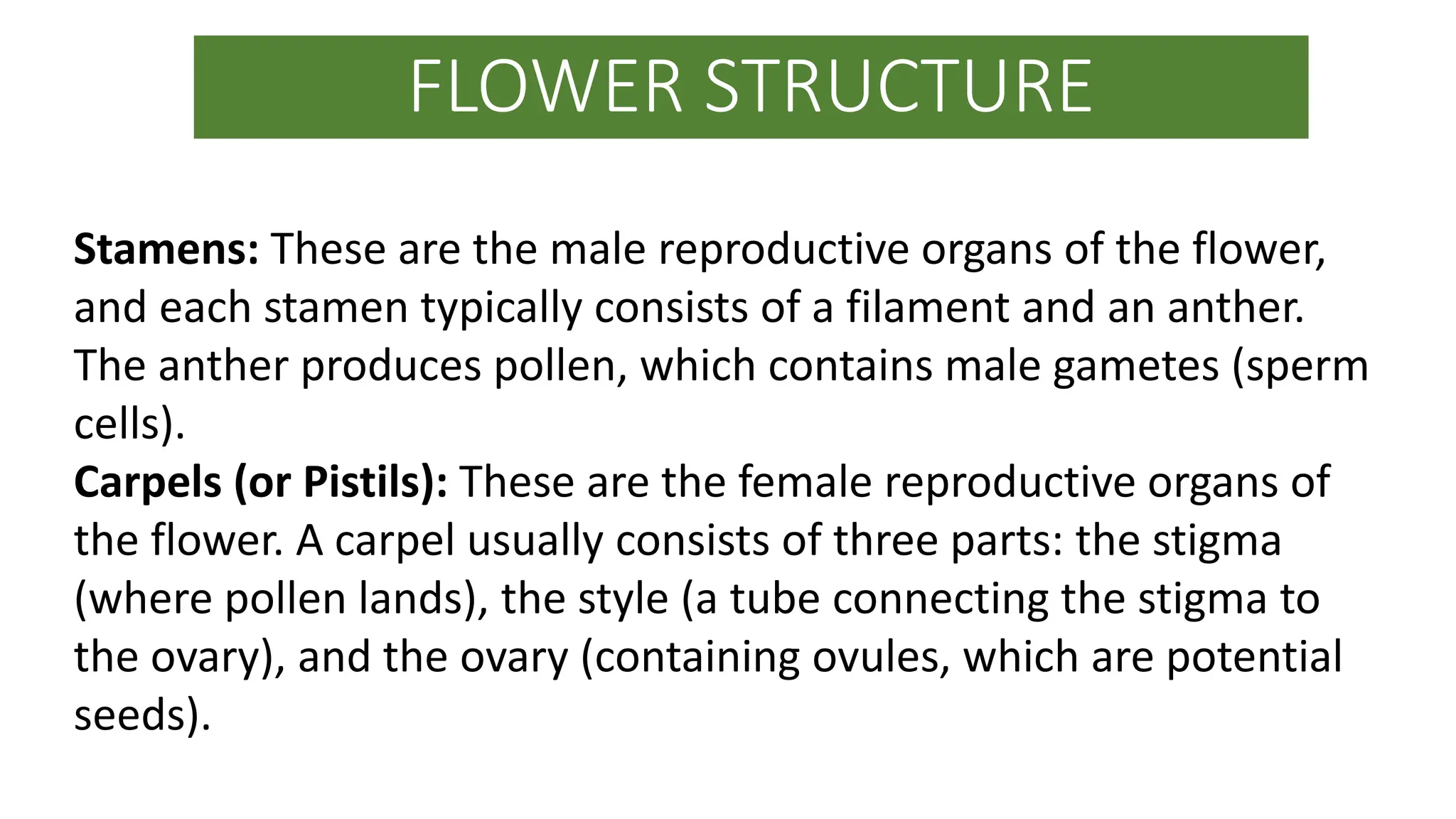 BOTANY POWERPOINT.pptxFLOWER, FRUIT, SEEDS | PPTX