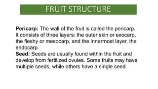 BOTANY POWERPOINT.pptxFLOWER, FRUIT, SEEDS | PPTX