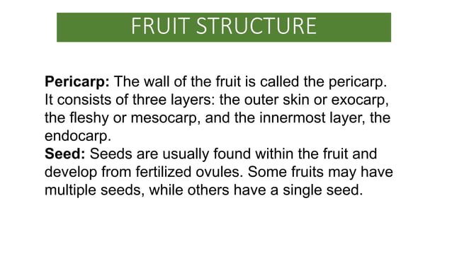 BOTANY POWERPOINT.pptxFLOWER, FRUIT, SEEDS | PPTX