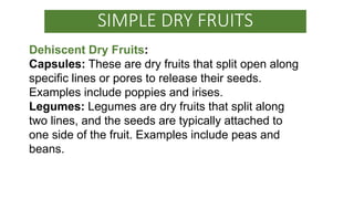 BOTANY POWERPOINT.pptxFLOWER, FRUIT, SEEDS | PPTX