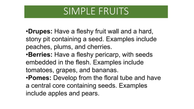 BOTANY POWERPOINT.pptxFLOWER, FRUIT, SEEDS | PPTX