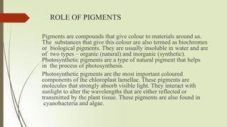 Botany ppt on plant physiology and metabolism | PPTX