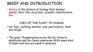 BOTANY SCIENCE | PPTX