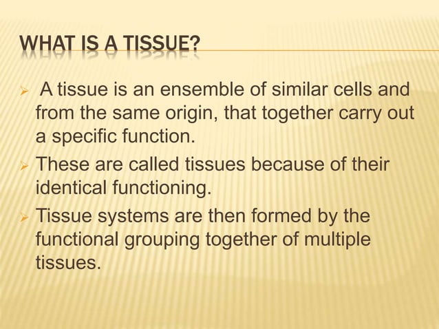 tissues best ppt | PPT