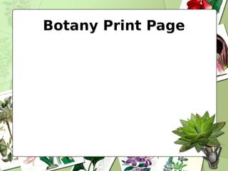 Botany presentation | PDF