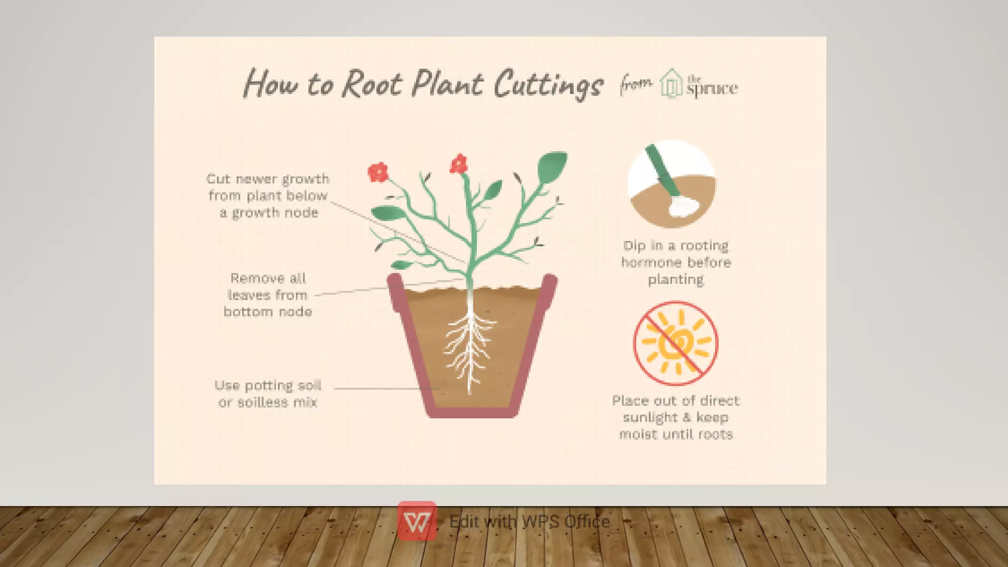 Botany presentation | PPT